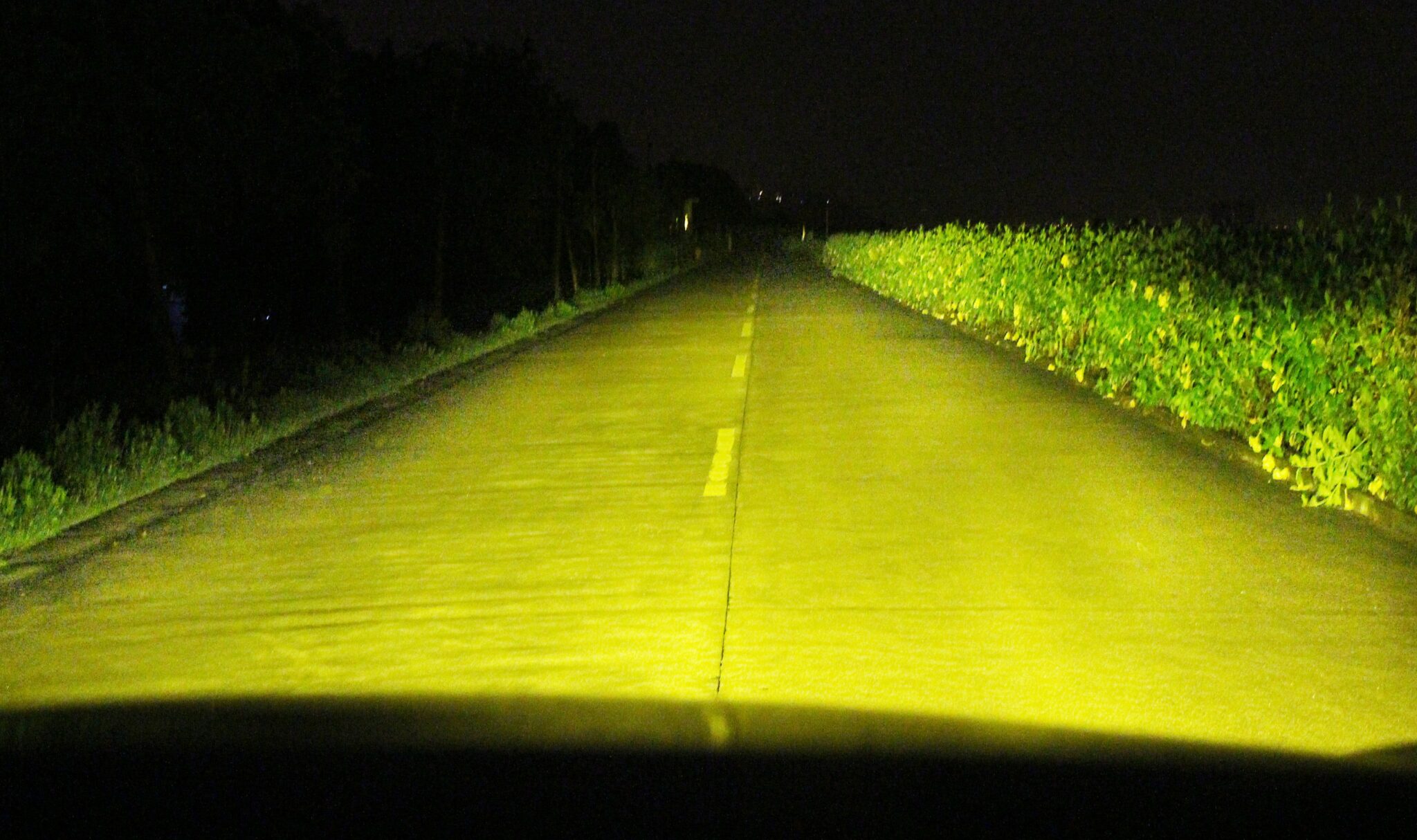 5 Powerful LED Fog Lights In India - Perfect For All Weather - NAOEVO